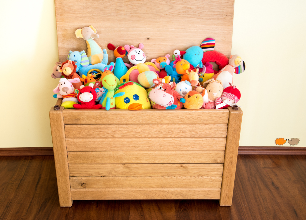 Selecting the Perfect Toy Box: 6-Year-Old Edition – Toy Box City