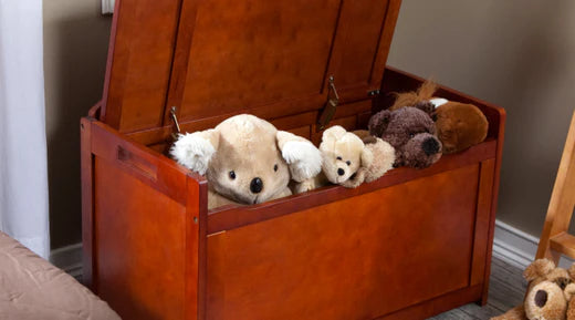 How To Choose The Best Toy Box For Your Children – Toy Box City