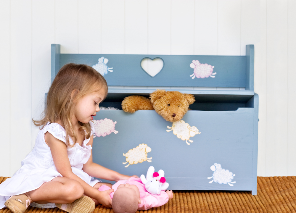 Toys Galore: Unveiling the Secrets of Trendy Toy Boxes and Enchanting ...
